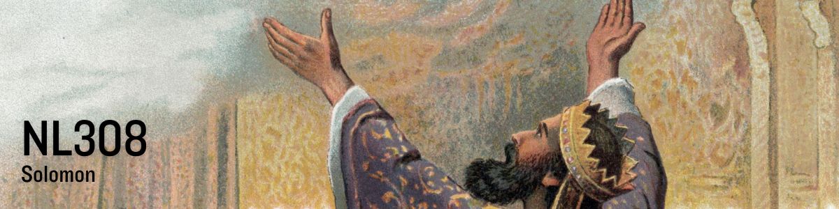 Liturgy Bits for NL308 – Solomon – Lectionary Resources Blog